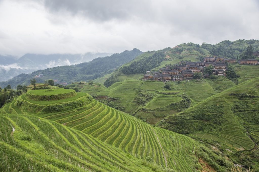 Guide & Conseils - Les rizières en terrasse de Longsheng en Chine