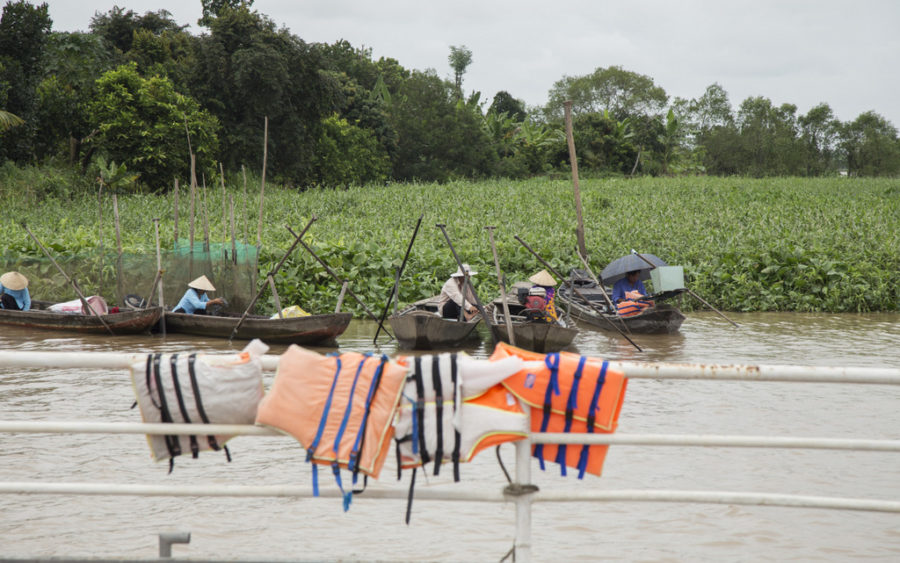 bac-cai-be (1) - WorldWildBrice